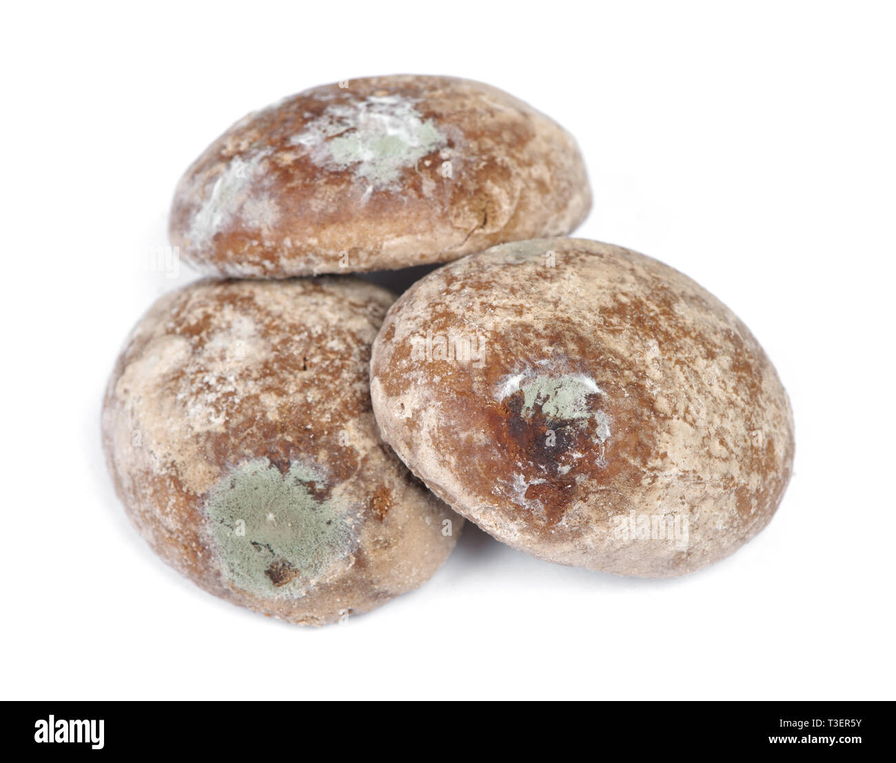 Group of moldy gingerbread cookies isolated on white background Stock ...