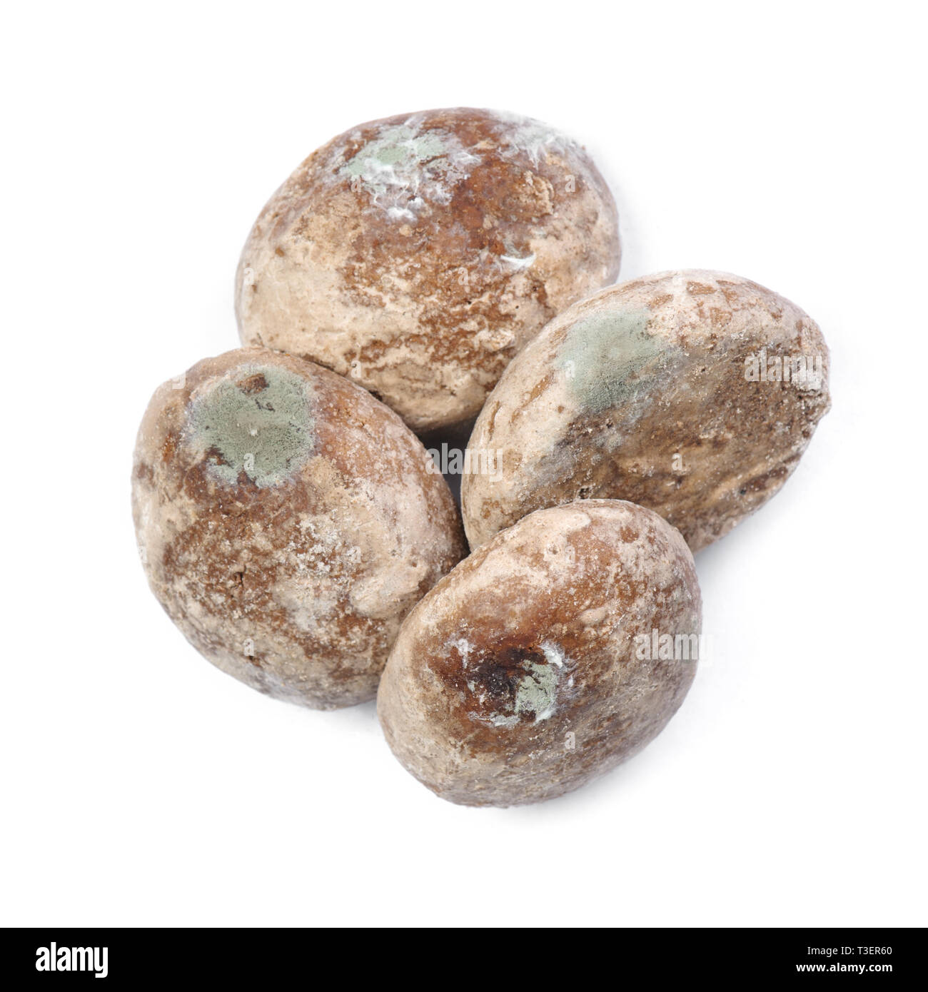 Group of moldy gingerbread cookies isolated on white background Stock ...