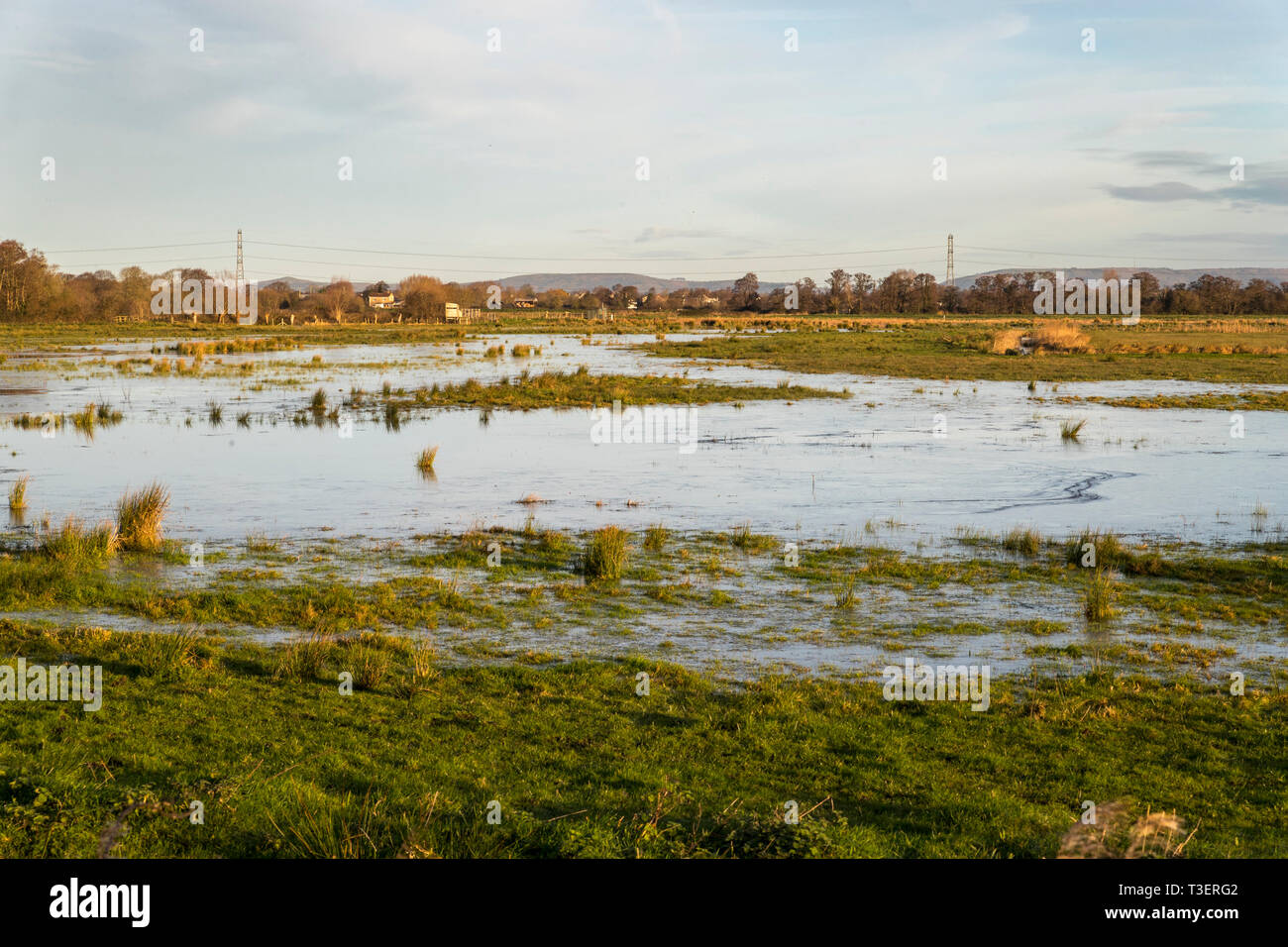 Catcott; The Levels; Somerset; UK Stock Photo - Alamy