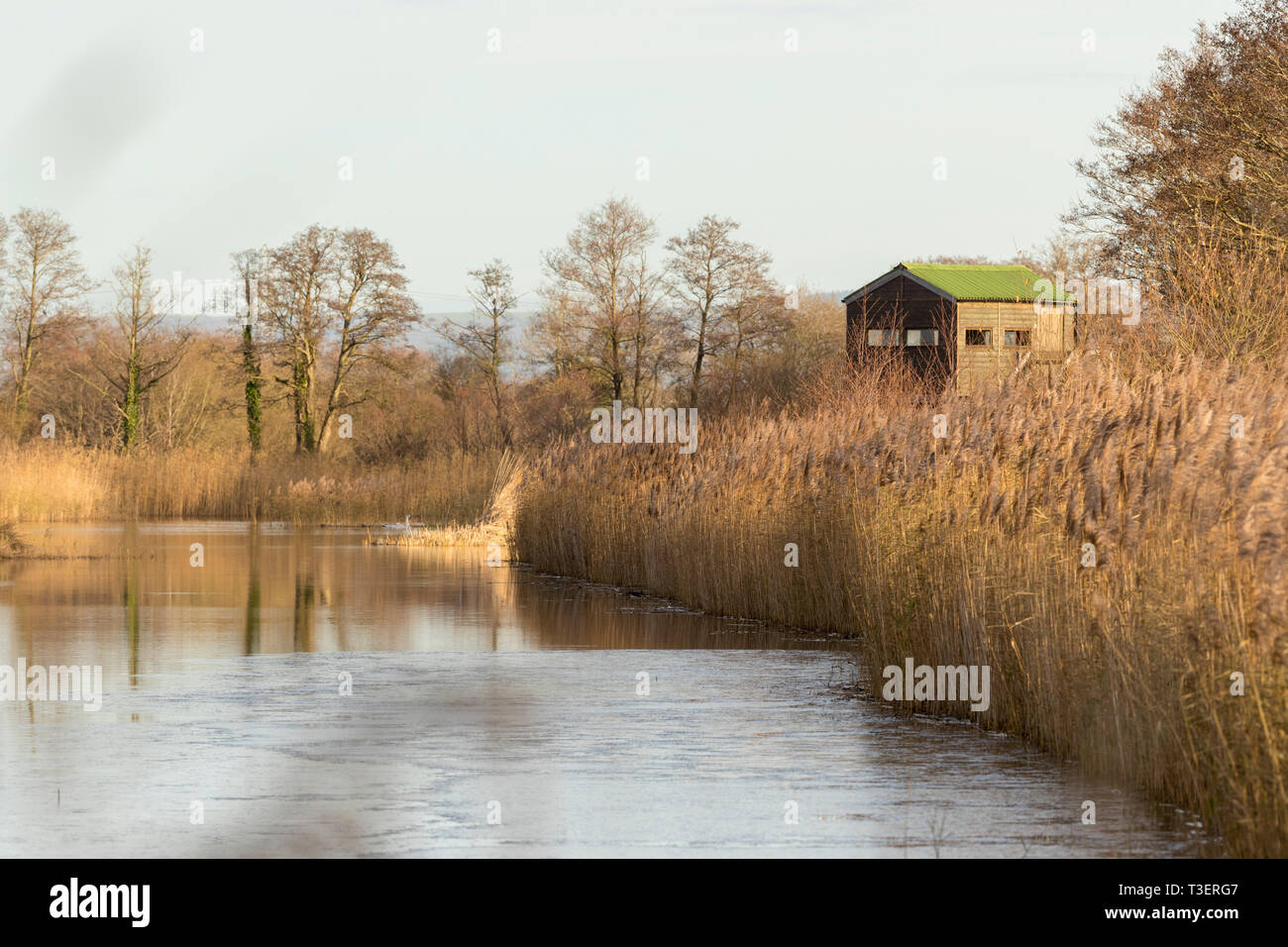Catcott; The Levels; Somerset; UK Stock Photo - Alamy