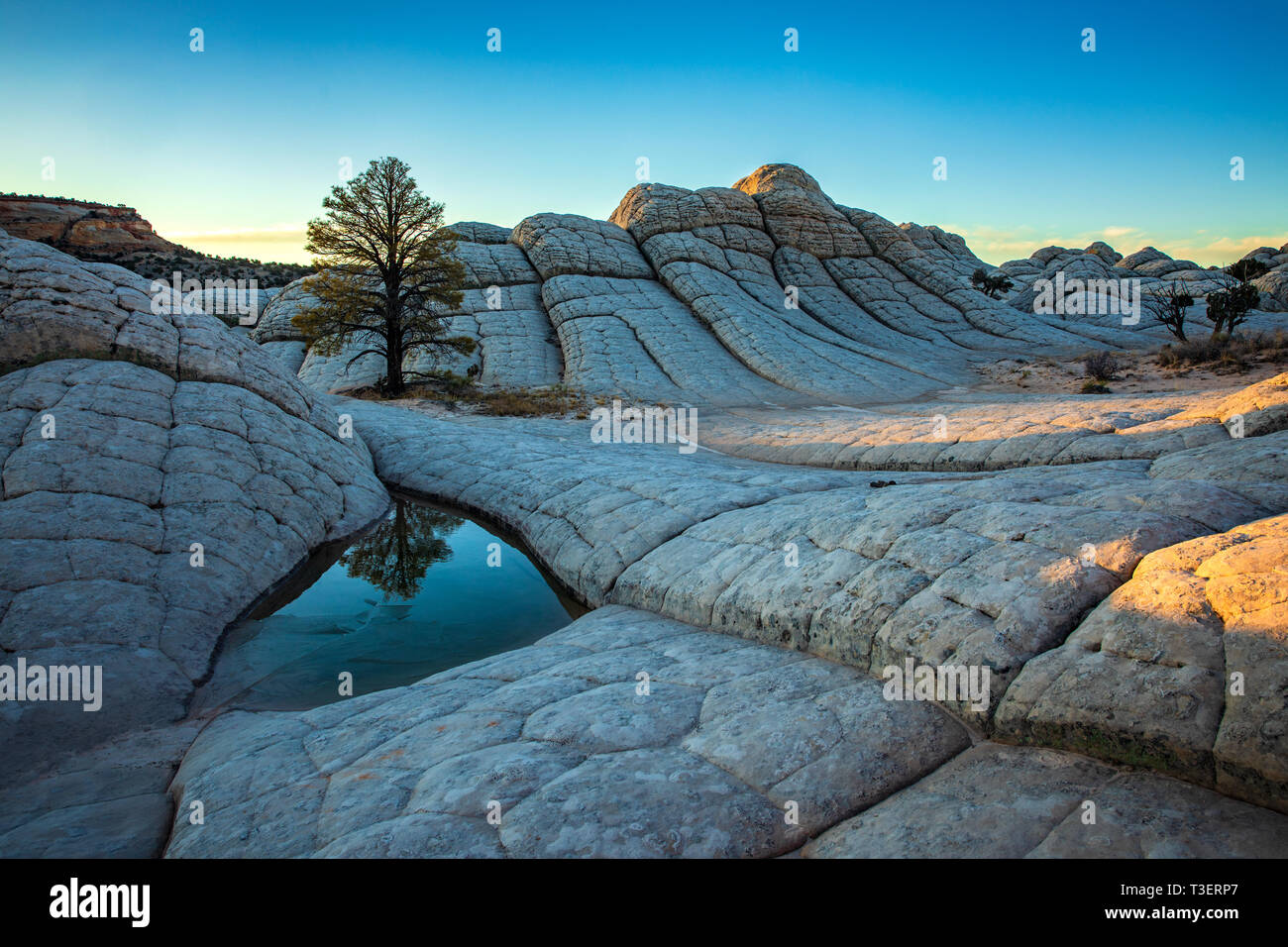 White Pocket in Vermillion Cliffs National Monument, Arizona, USA Stock ...