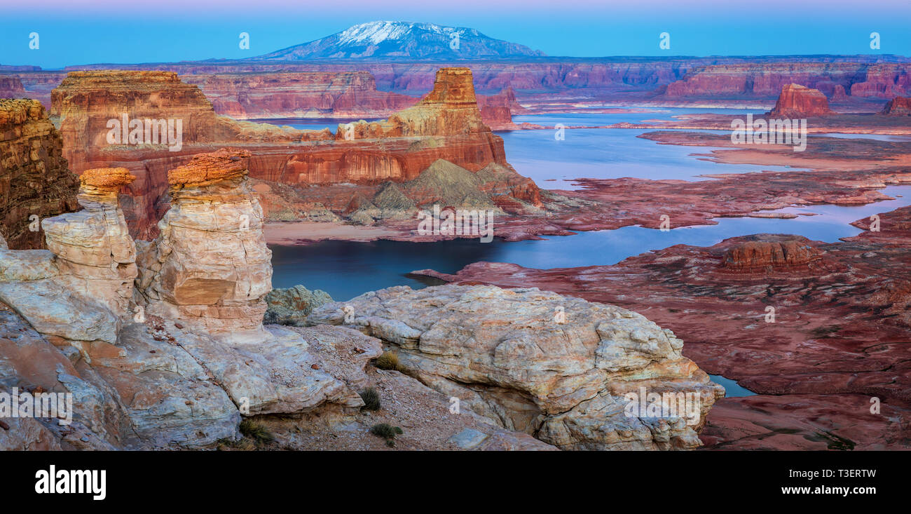 Alstrom Point in Lake Powell, Arizona, USA Stock Photo - Alamy