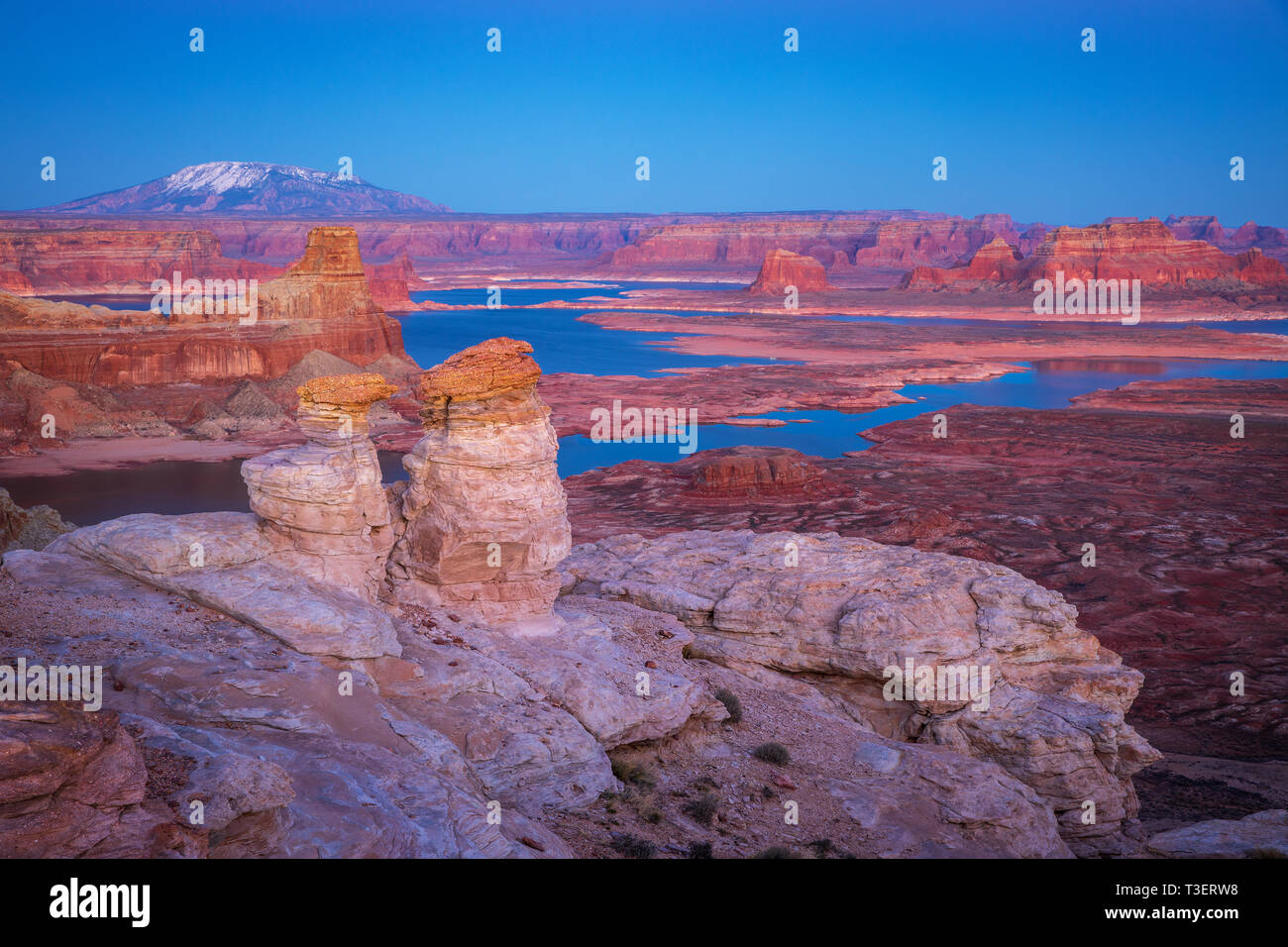 Alstrom Point in Lake Powell, Arizona, USA Stock Photo - Alamy