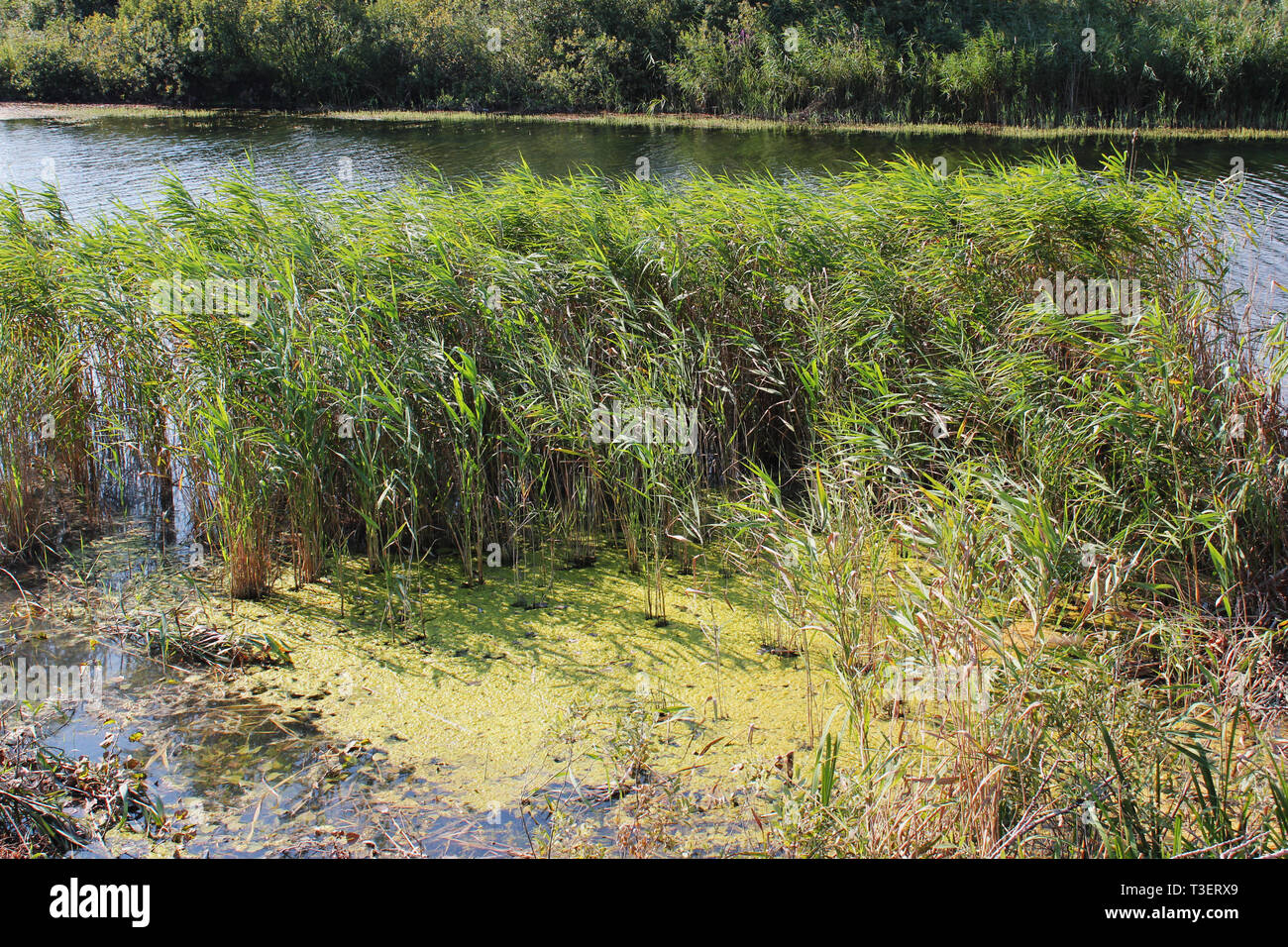 Lake of Agra Edessa Greece Europe Stock Photo - Alamy