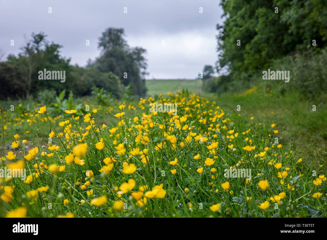 Hope farm rspb hi-res stock photography and images - Alamy