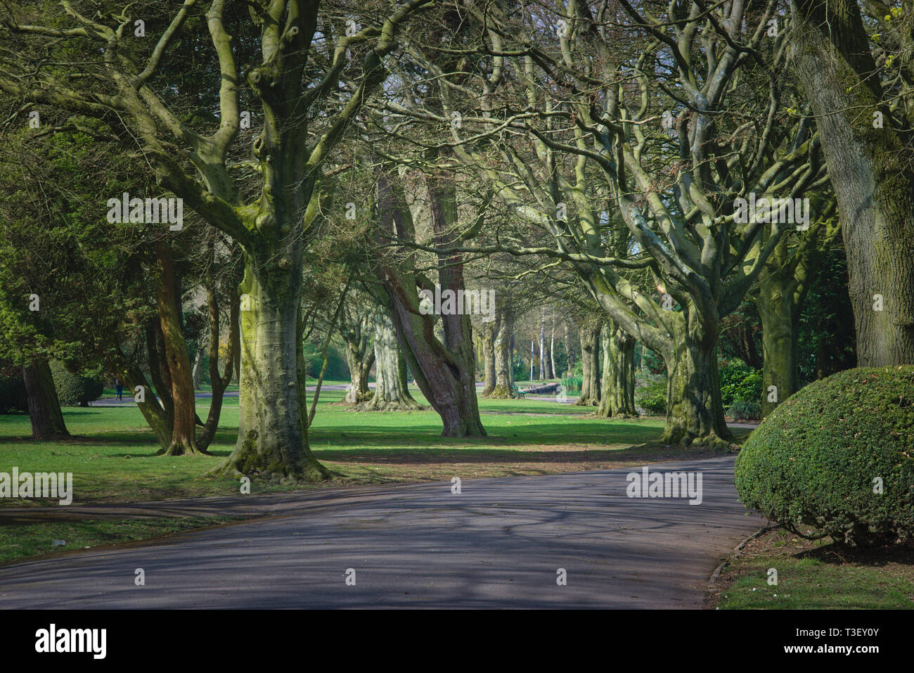 Spring queens park lake hi-res stock photography and images - Alamy