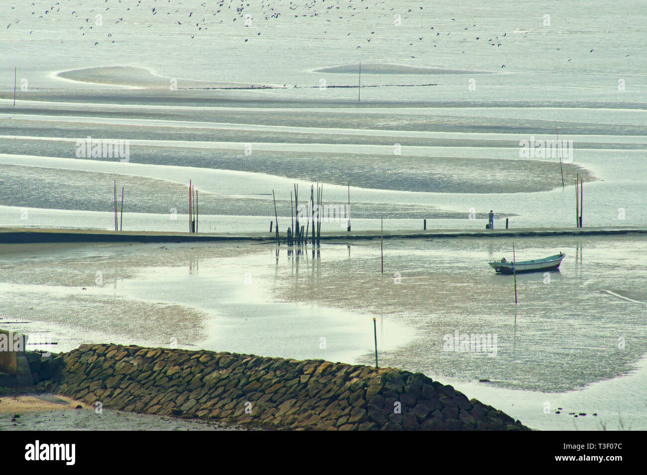 Kumamoto kyushu japan beach hi-res stock photography and images - Alamy