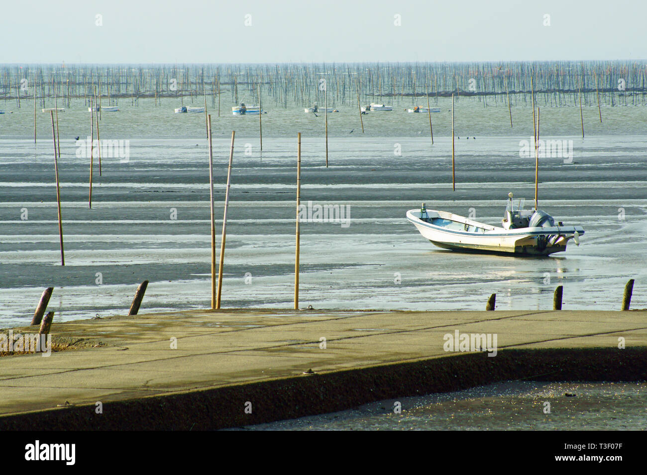 Mudflat of Ariake Sea, Kumamoto Prefecture, Japan Stock Photo - Alamy