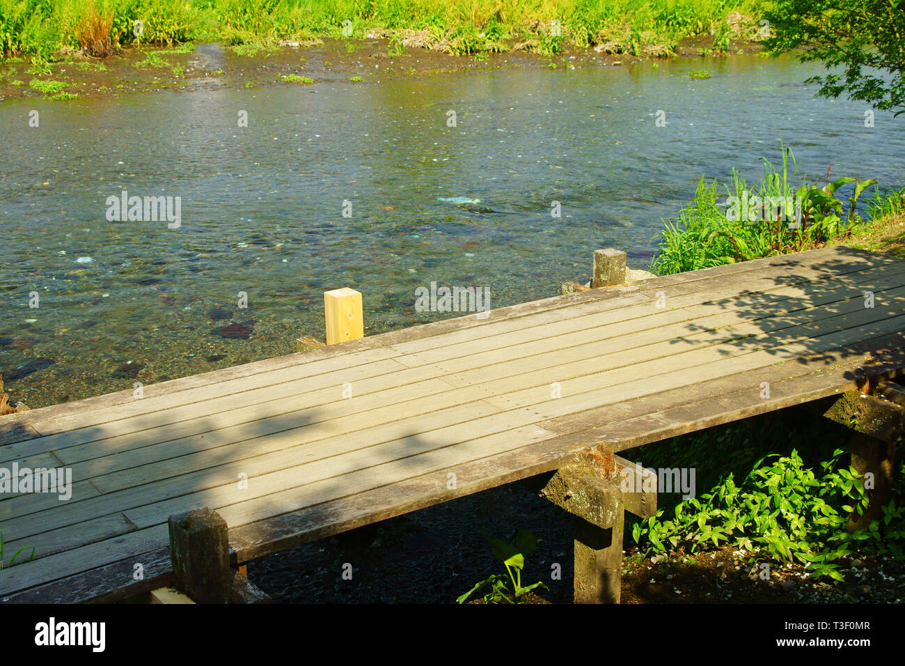 Lake Ezu in spring Stock Photo - Alamy