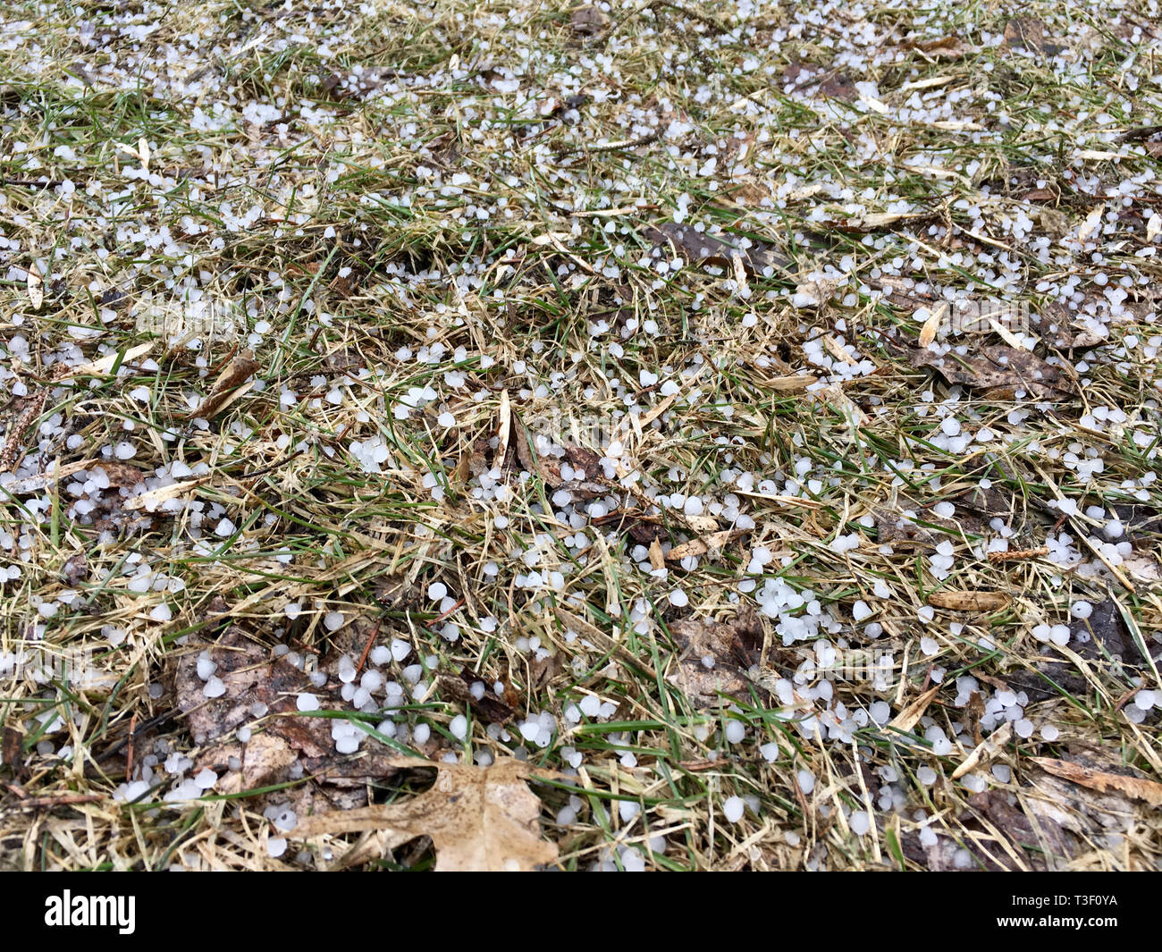 Closeup hail stones hi-res stock photography and images - Alamy