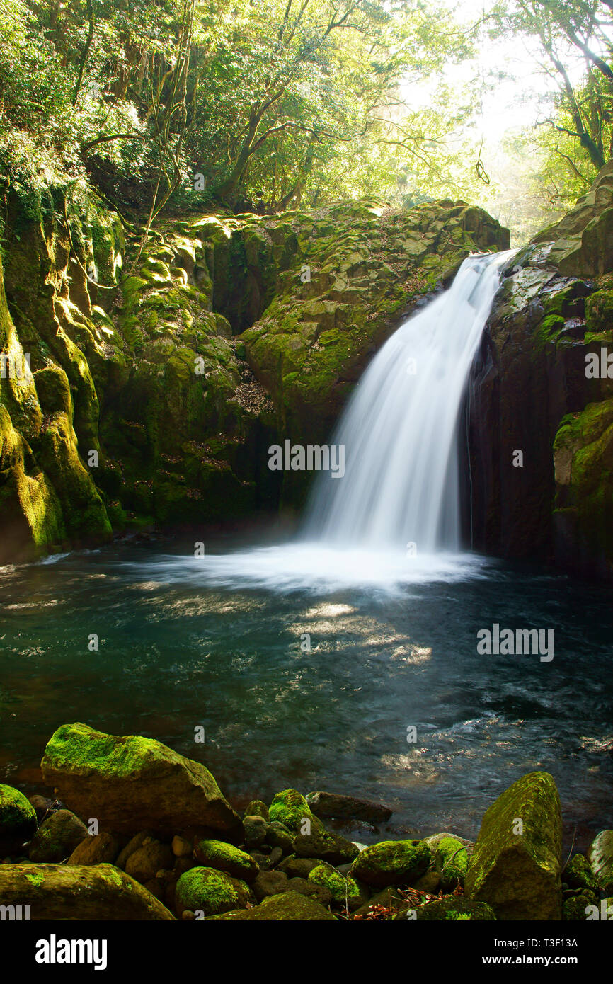 Kikuchi Gorge, Kumamoto Prefecture, Japan Stock Photo - Alamy