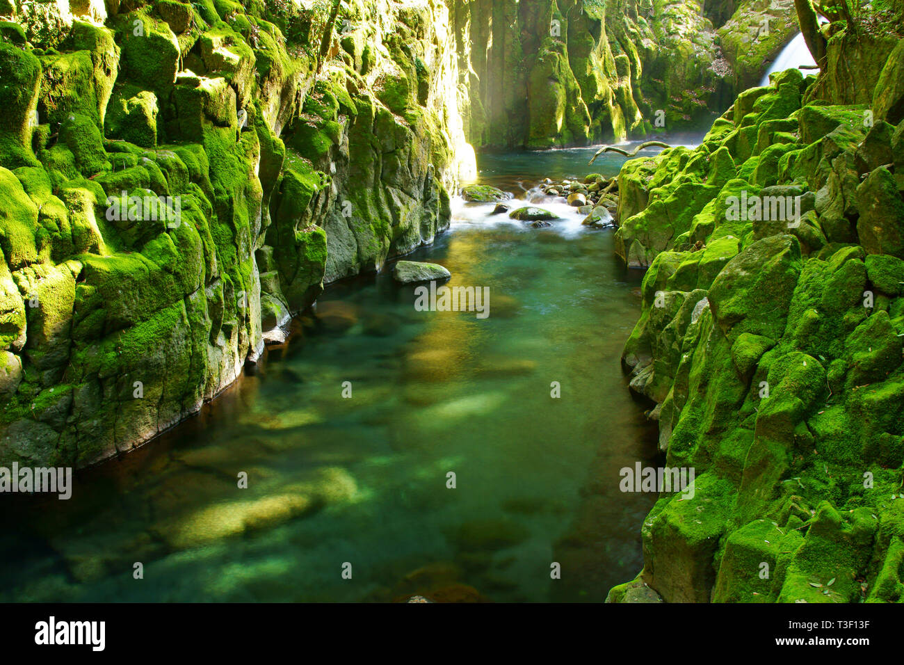 Kikuchi Gorge, Kumamoto Prefecture, Japan Stock Photo - Alamy