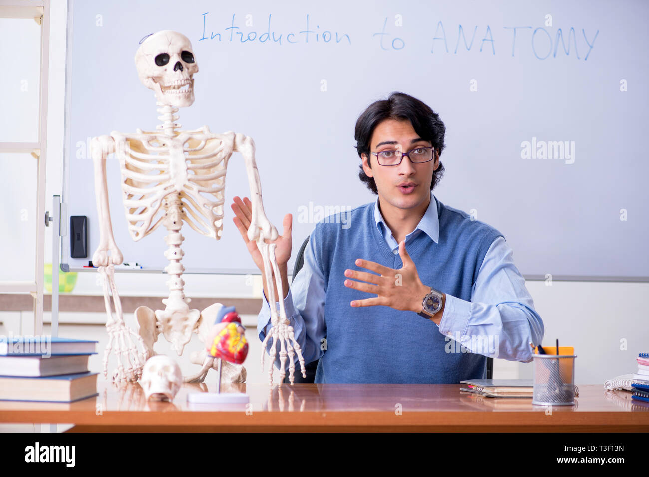 Young lecturer teacher teaching anatomy Stock Photo - Alamy