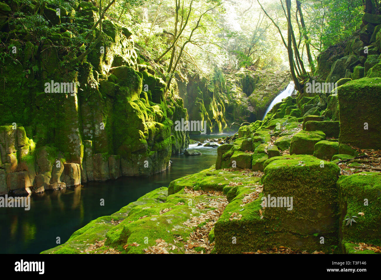 Kikuchi Gorge, Kumamoto Prefecture, Japan Stock Photo - Alamy