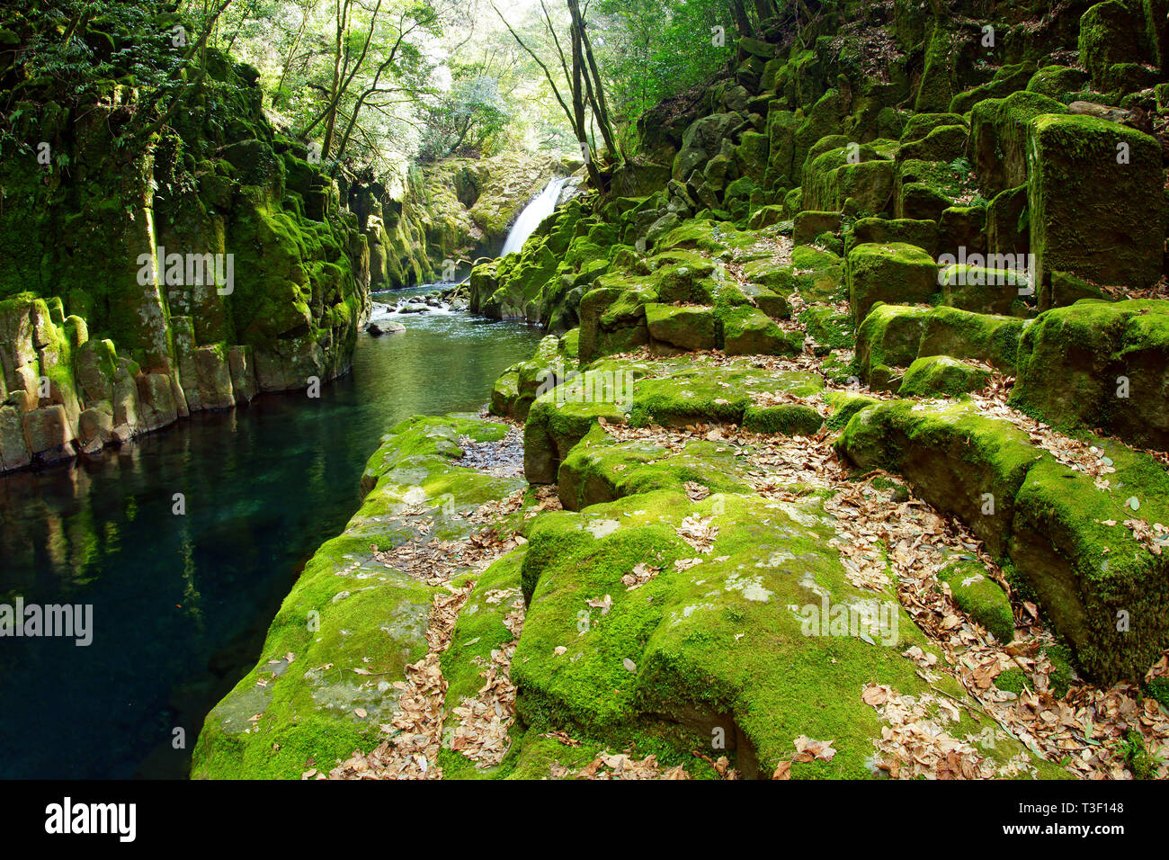 Kikuchi Gorge, Kumamoto Prefecture, Japan Stock Photo - Alamy