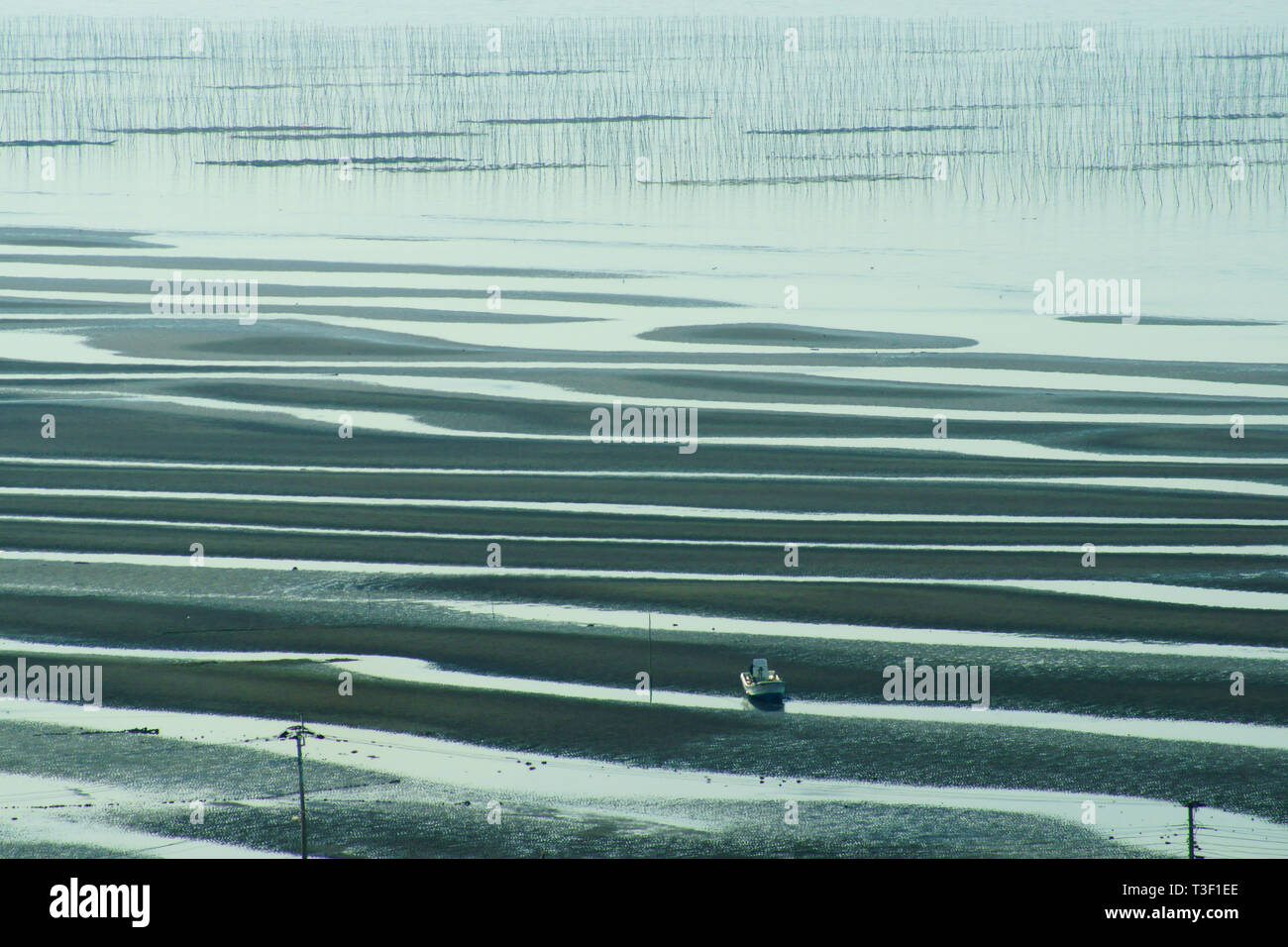 Mudflat of Ariake Sea, Kumamoto Prefecture, Japan Stock Photo - Alamy