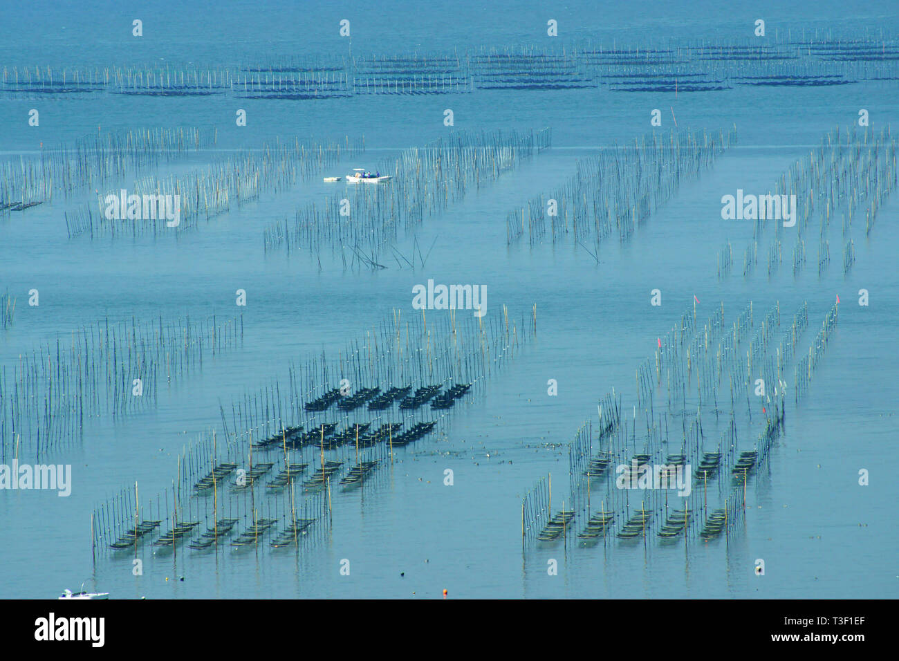 Ariake sea kyushu hi-res stock photography and images - Alamy