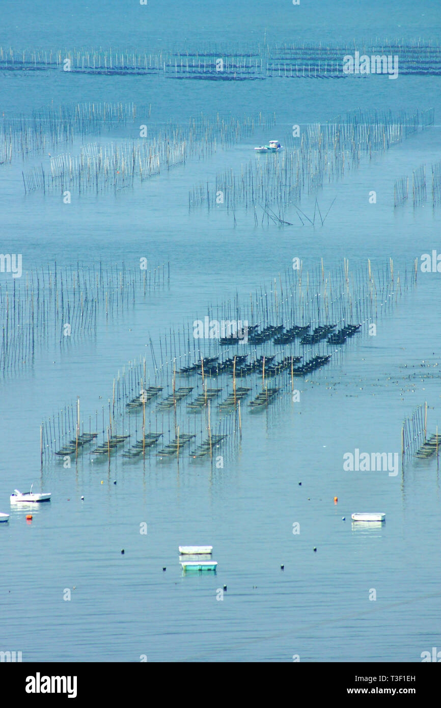 Ariake sea kyushu hi-res stock photography and images - Alamy