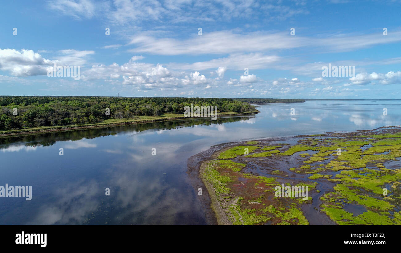 Aerial Photography of Marshland Stock Photo - Alamy