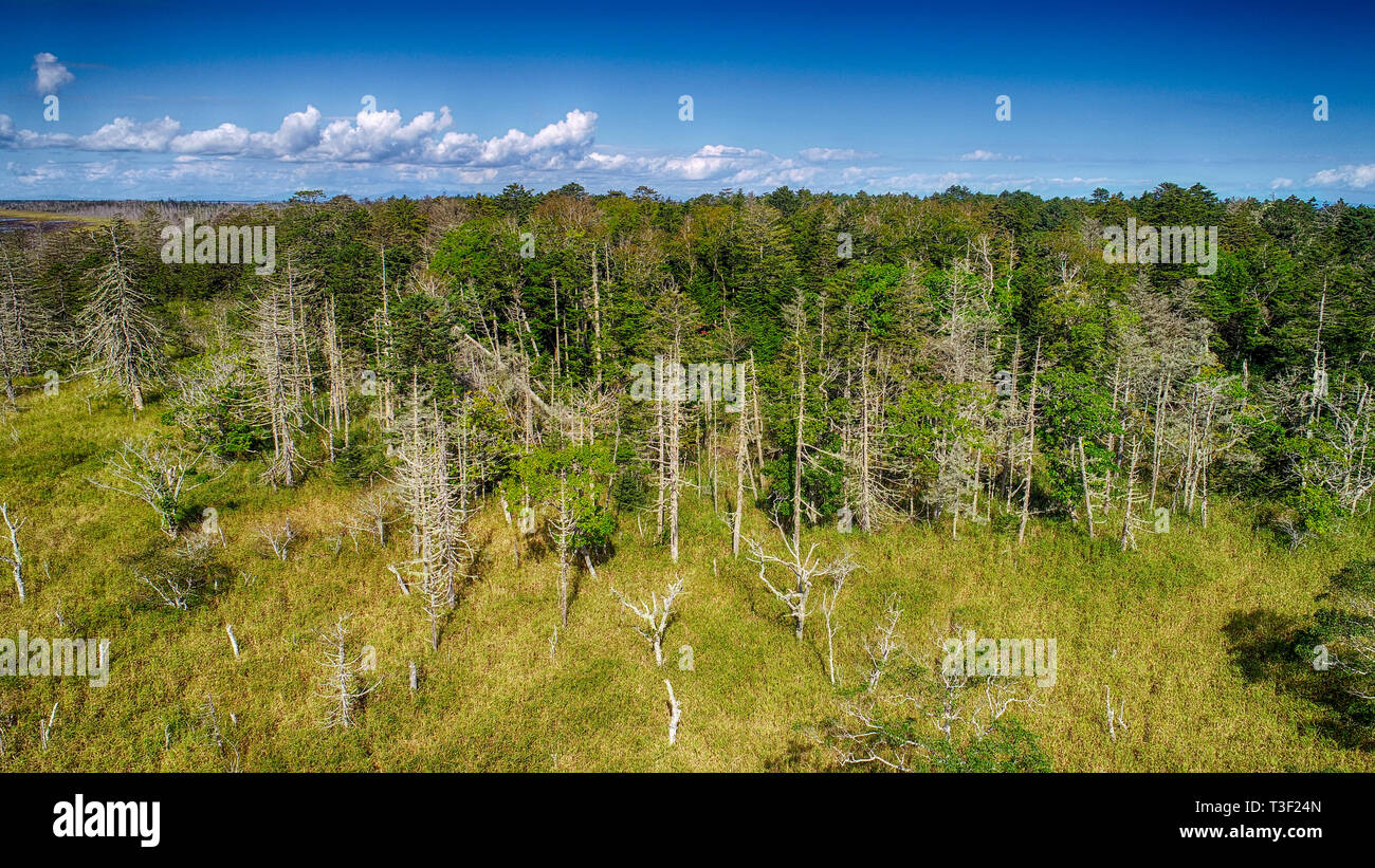Aerial Photography of Marshland Stock Photo - Alamy
