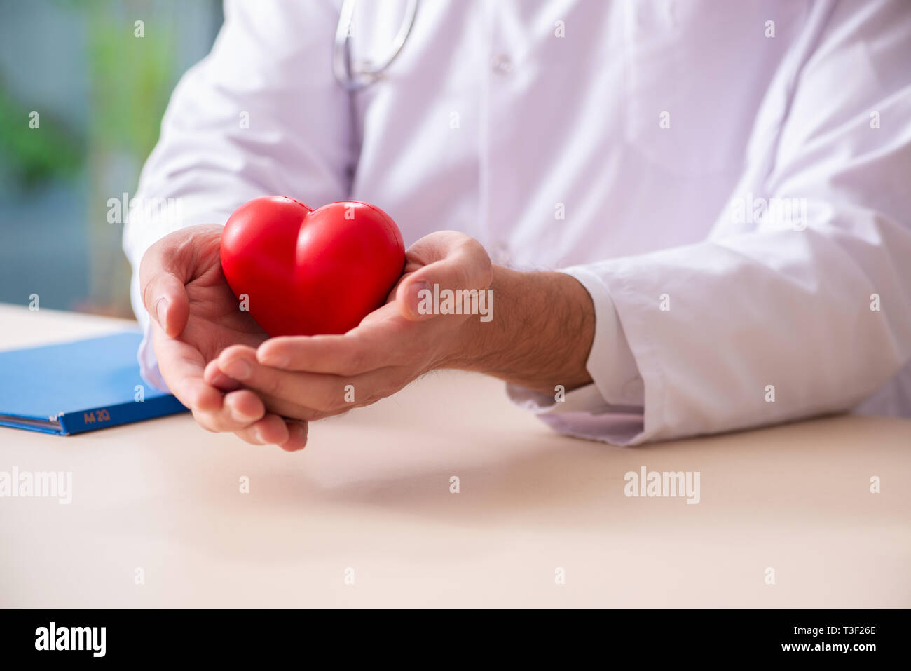 Male doctor cardiologist holding heart model Stock Photo - Alamy