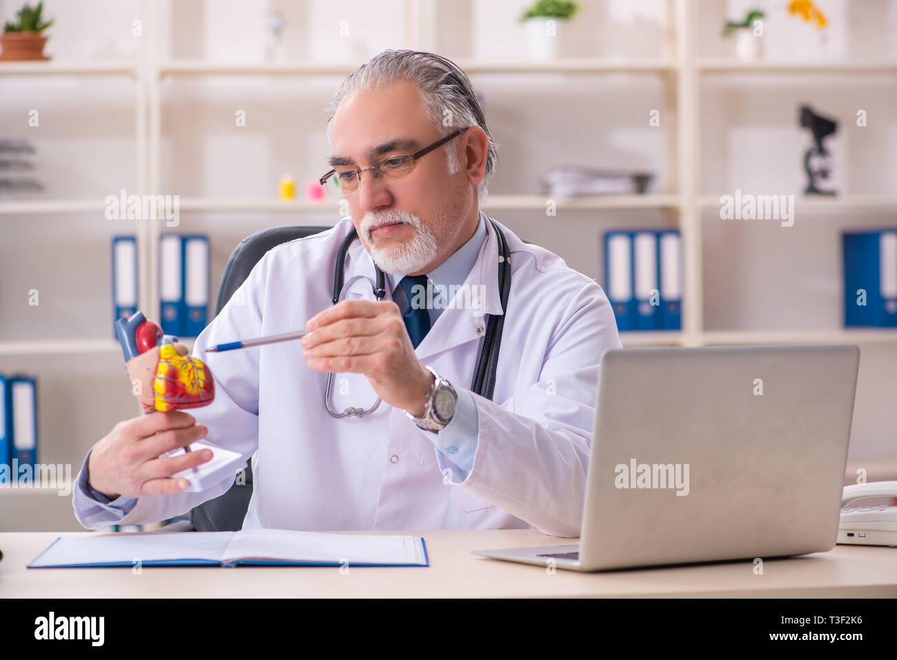 Aged male doctor cardiologist with heart model Stock Photo - Alamy