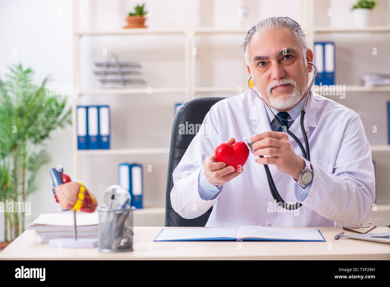 Aged male doctor cardiologist with heart model Stock Photo - Alamy