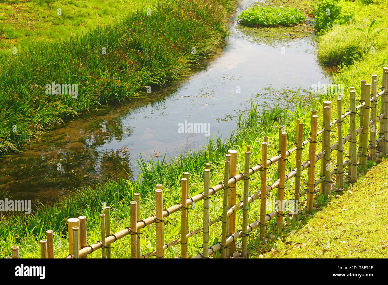 Stream, spring water flowing Stock Photo - Alamy
