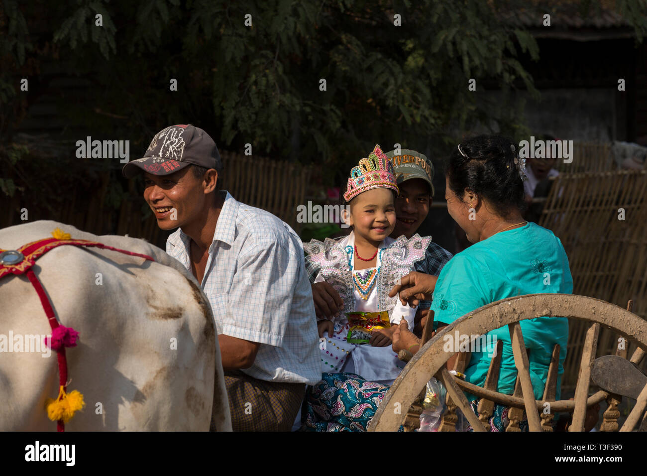 Traditional Buddhist Shinbyu procession for the initiation of all young ...