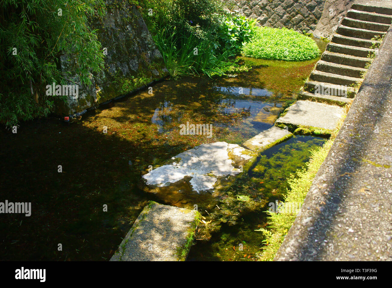 Natural springs in Shimorokka, Kumamoto Prefecture, Japan Stock Photo ...