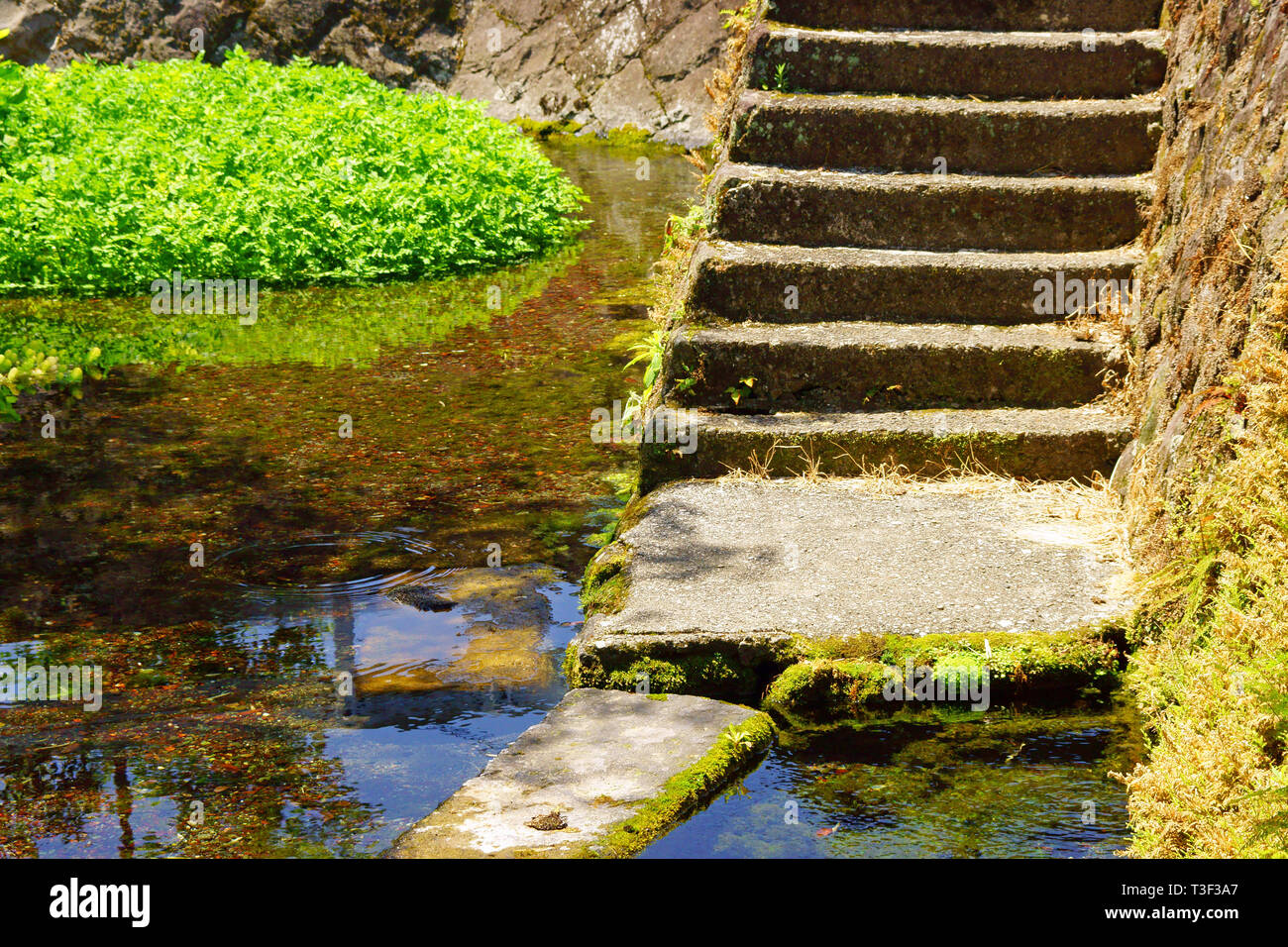 Natural springs in Shimorokka, Kumamoto Prefecture, Japan Stock Photo ...