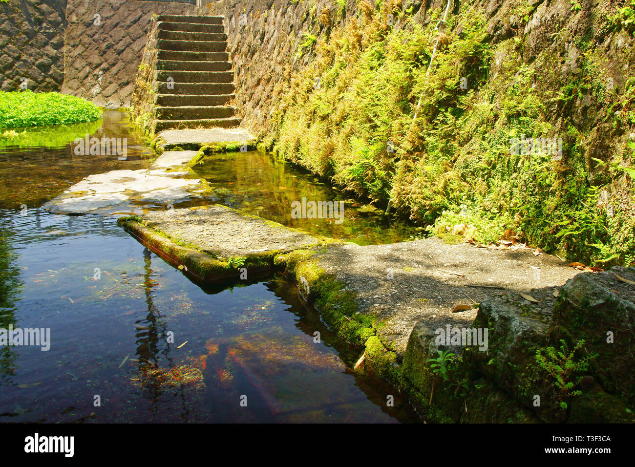 Natural springs in Shimorokka, Kumamoto Prefecture, Japan Stock Photo ...