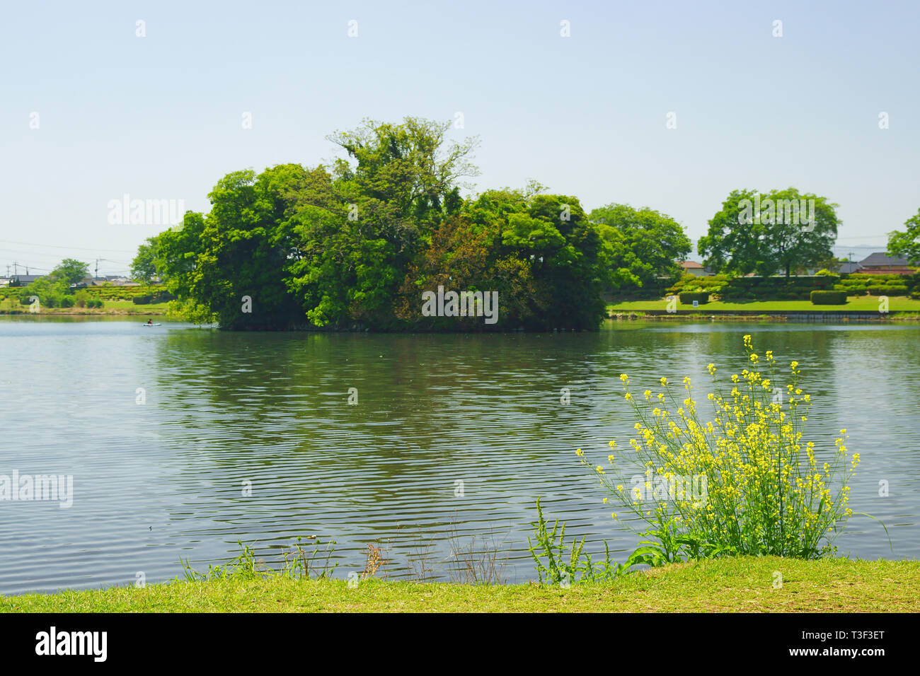 Suizenji Ezuko Park in spring, Kumamoto Prefecture, Japan Stock Photo ...