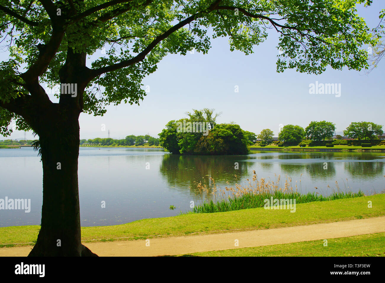 Suizenji Ezuko Park in spring, Kumamoto Prefecture, Japan Stock Photo ...