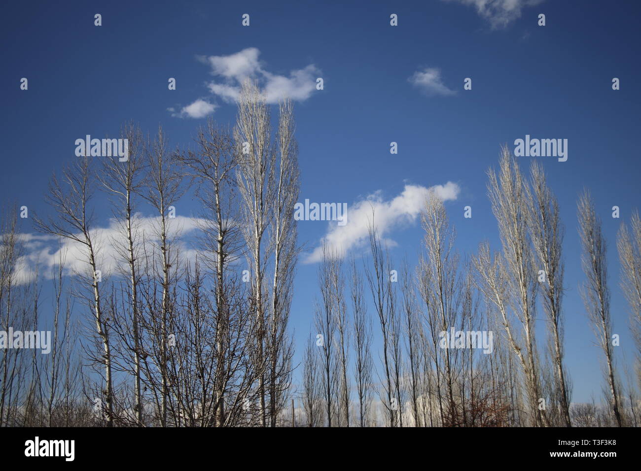 nature of Iran Stock Photo - Alamy