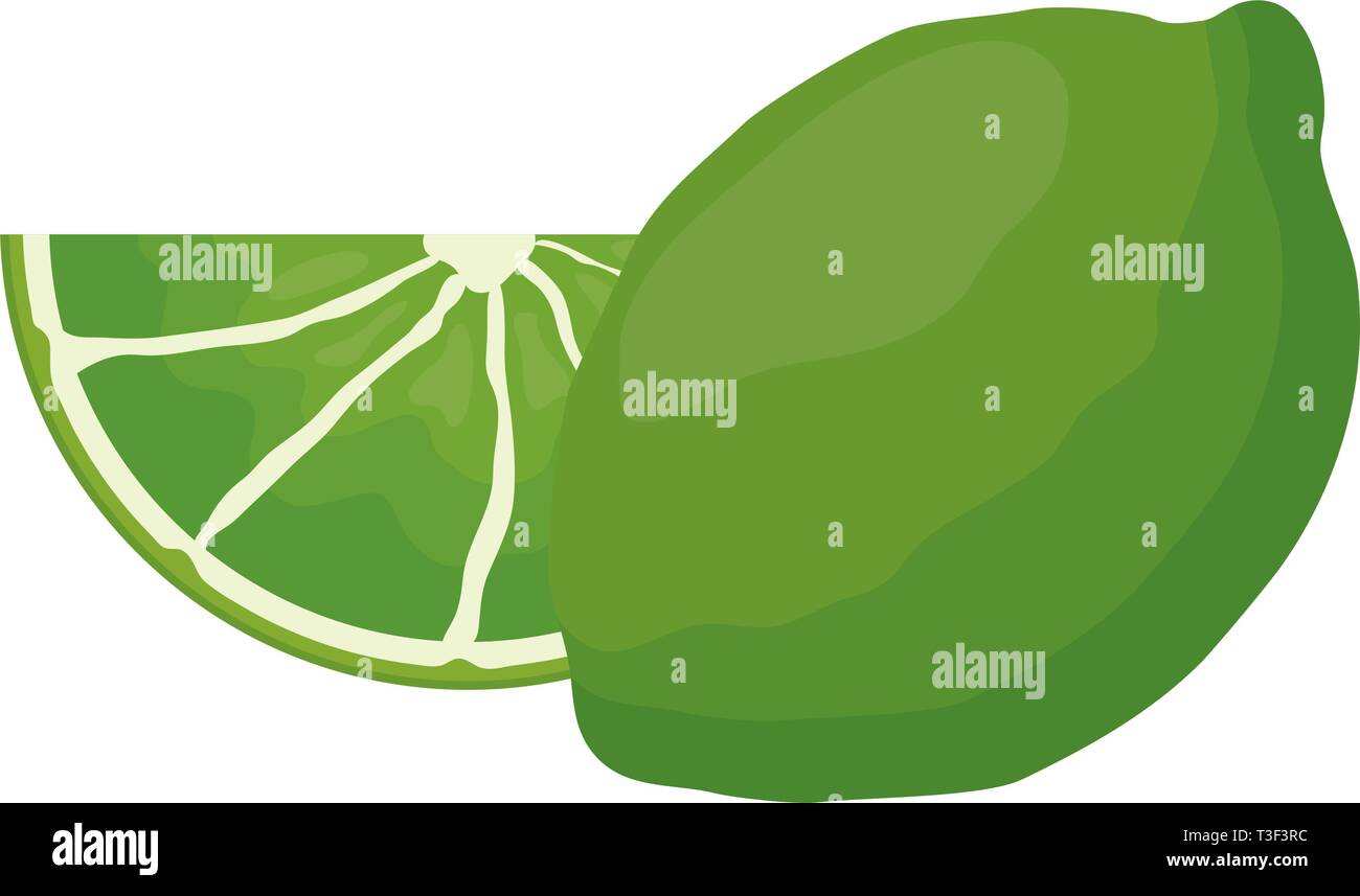 slice lemon fruit citrus Stock Vector Image & Art - Alamy