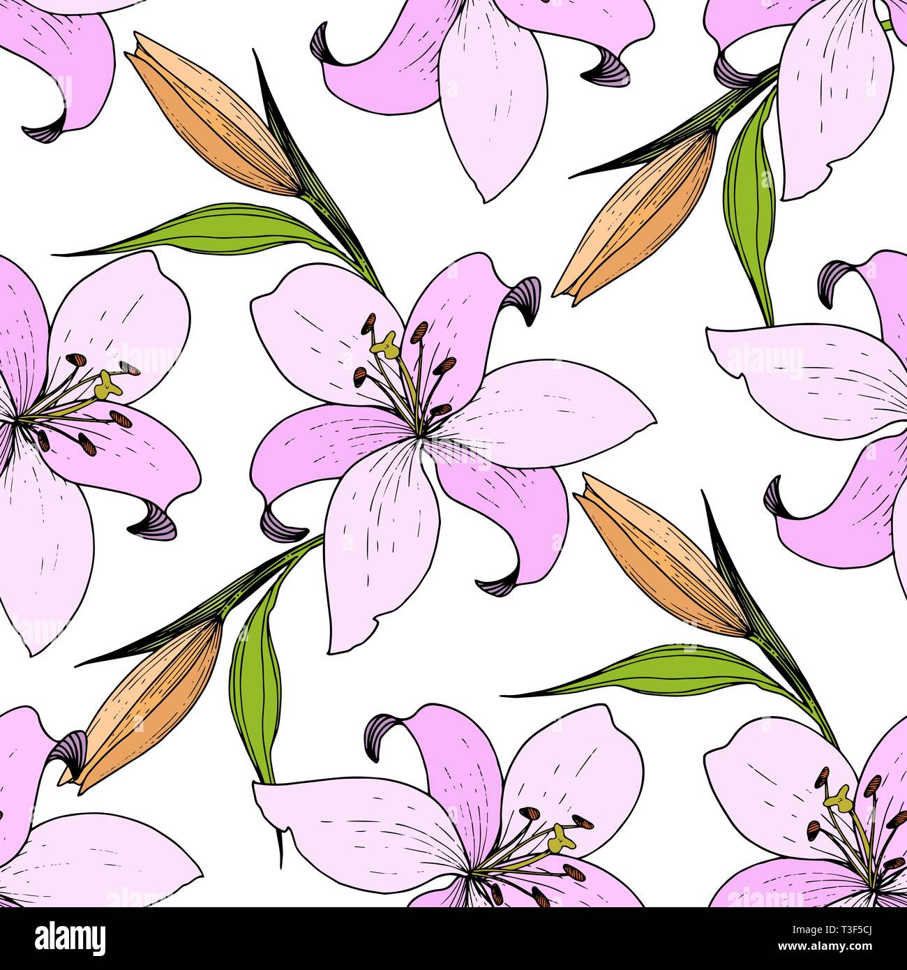 Vector Lily floral botanical flower. Engraved ink art. Seamless ...