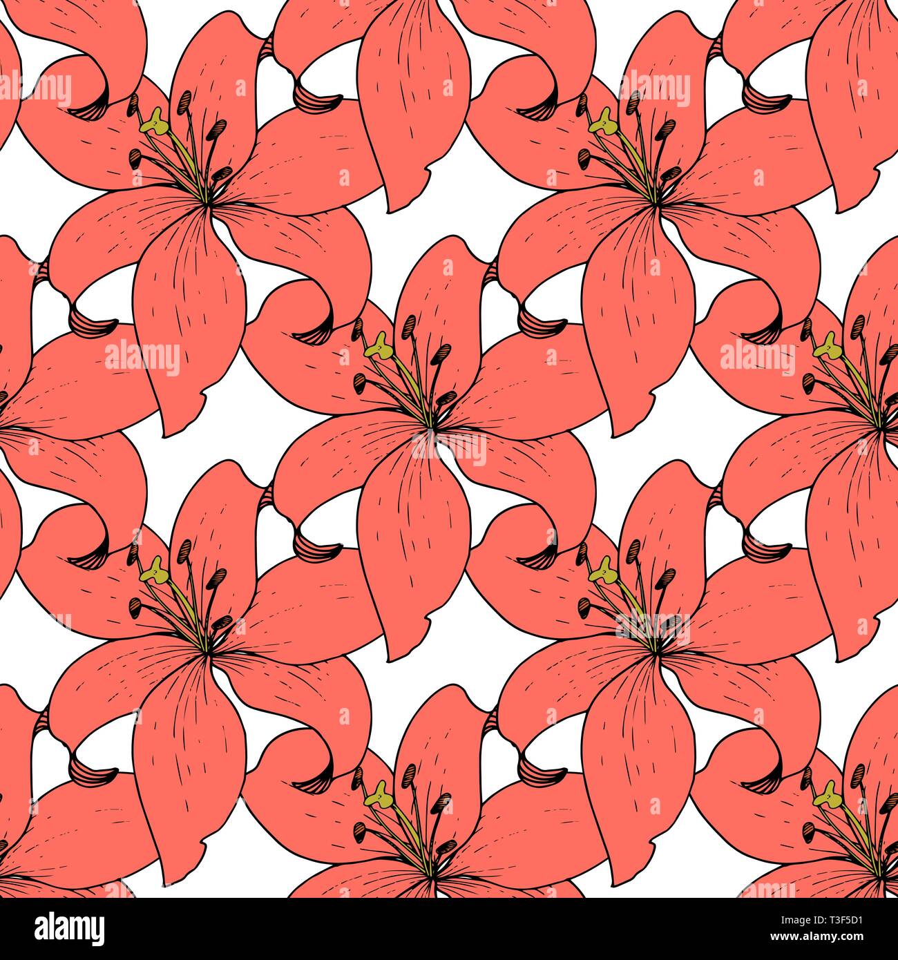 Vector Lily floral botanical flower. Engraved ink art. Seamless ...