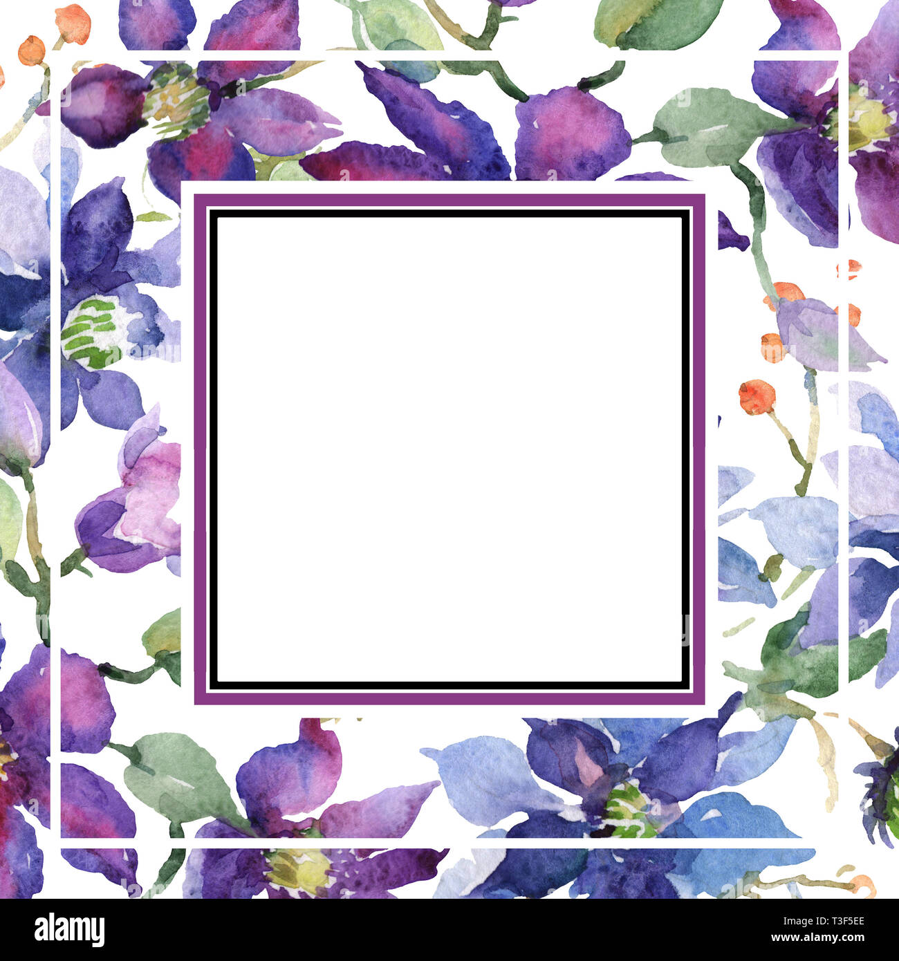 Clematis bouquet floral botanical flowers. Watercolor background ...