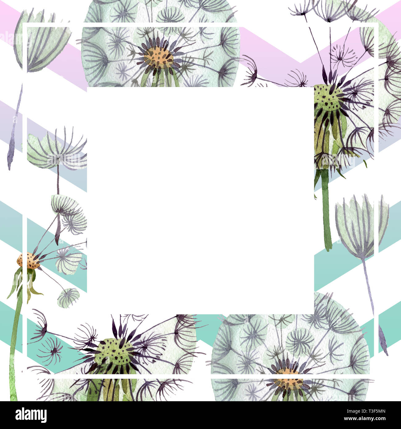 Dandelion blowball with seeds. Watercolor background illustration set ...