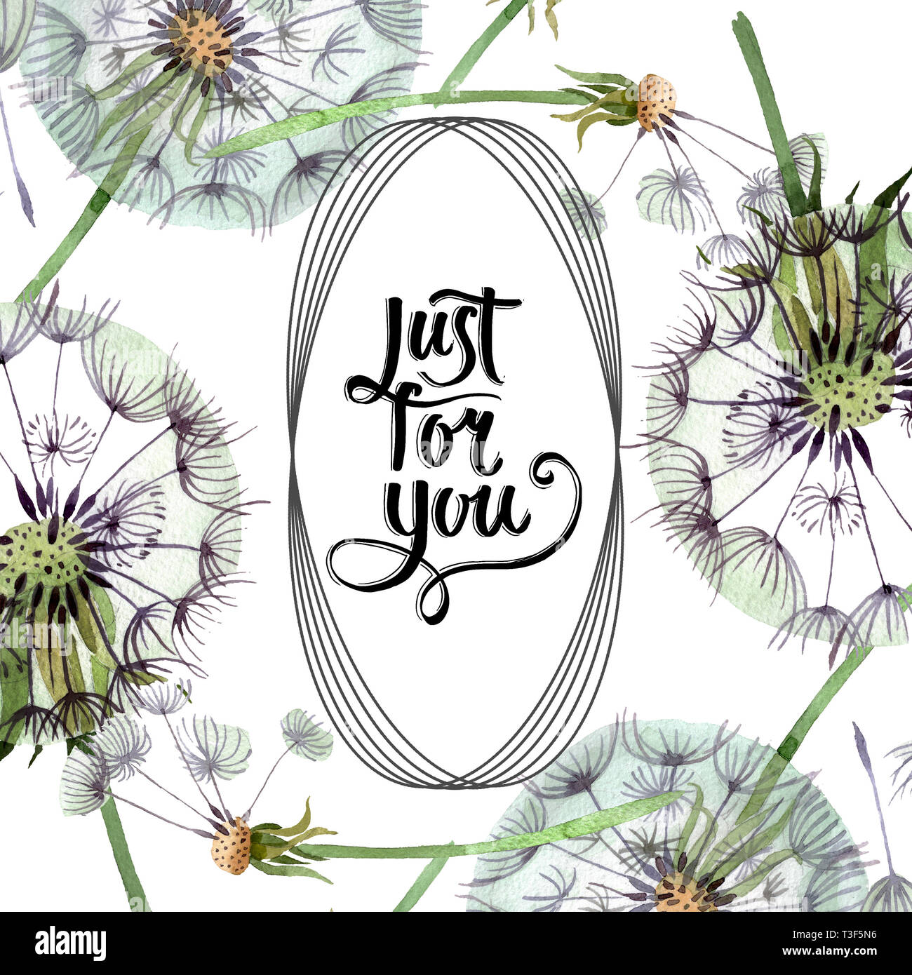 Dandelion blowball with seeds. Watercolor background illustration set ...
