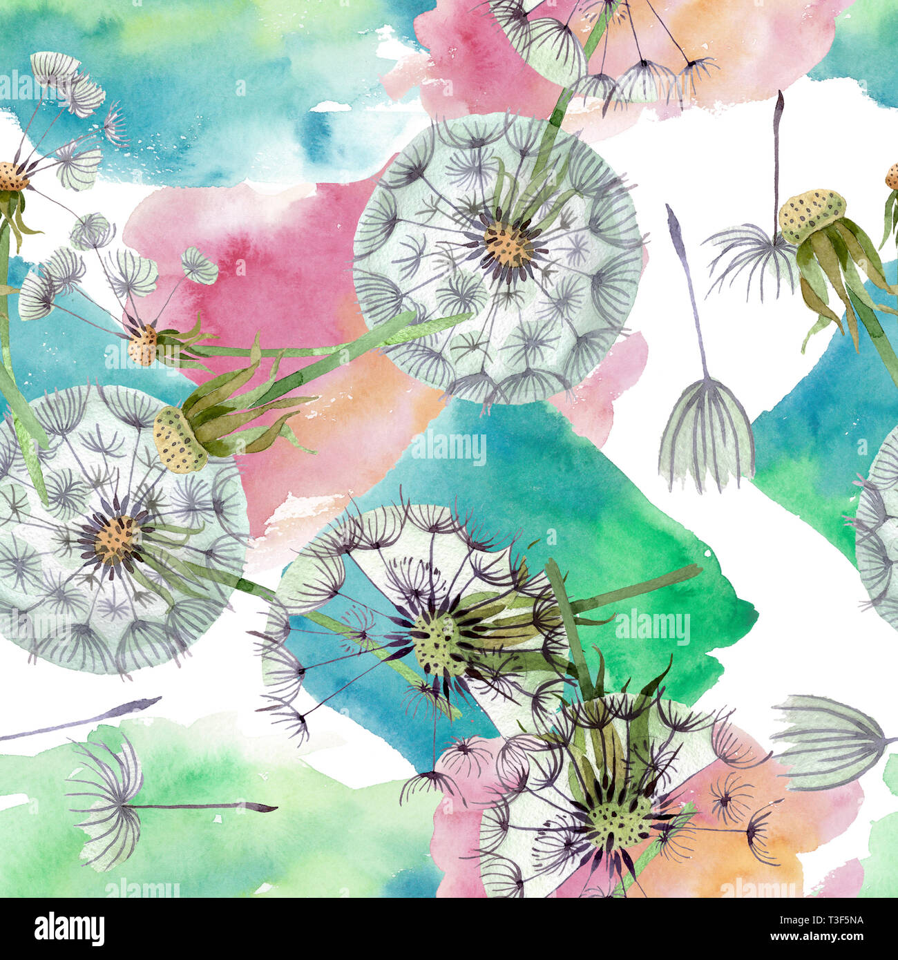 Dandelion blowball with seeds. Watercolor background illustration set ...