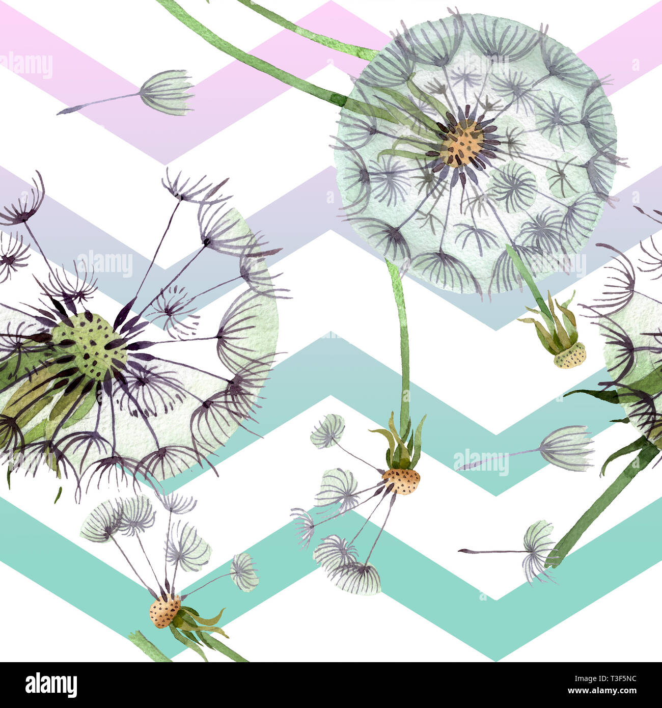 Dandelion blowball with seeds. Watercolor background illustration set ...