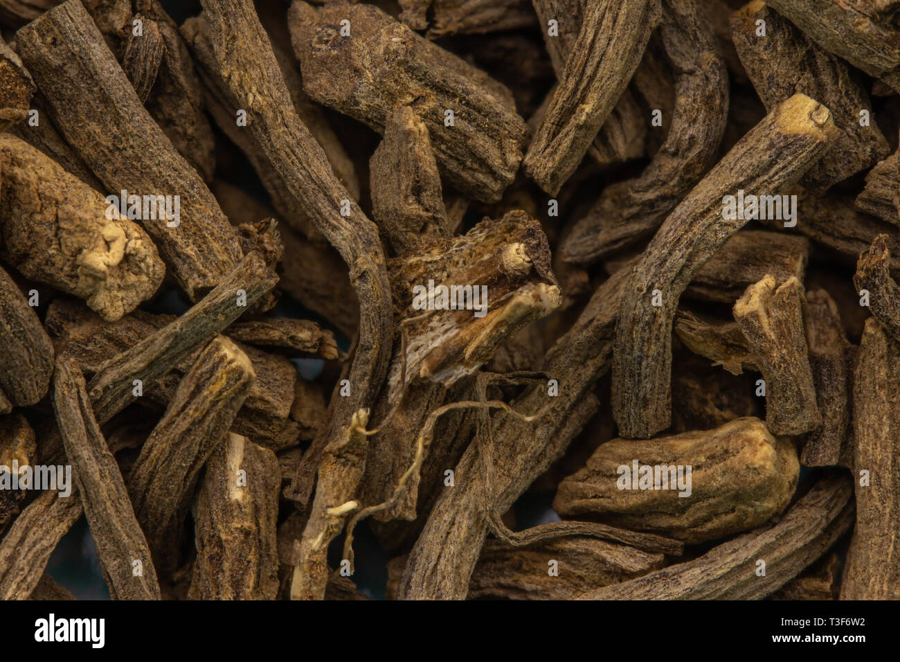 valerian root close up, healthy healing herbs Stock Photo - Alamy