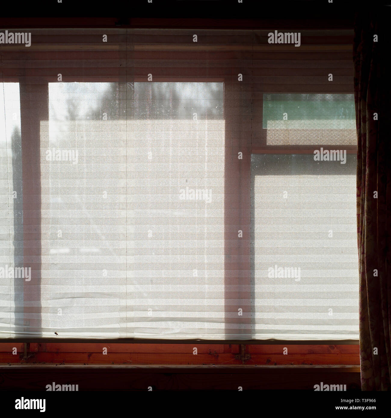Blinds and anti insects net on a window, indoor cropped shot Stock ...