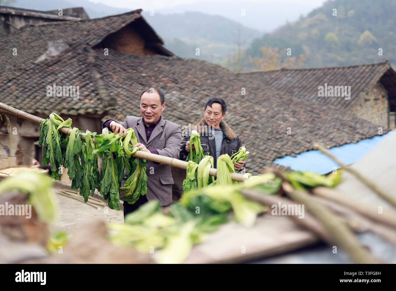 L a law show hi-res stock photography and images - Alamy