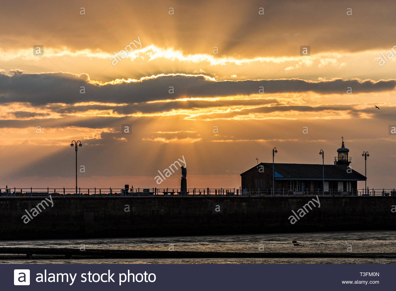 Fanning Out Stock Photos & Fanning Out Stock Images - Alamy
