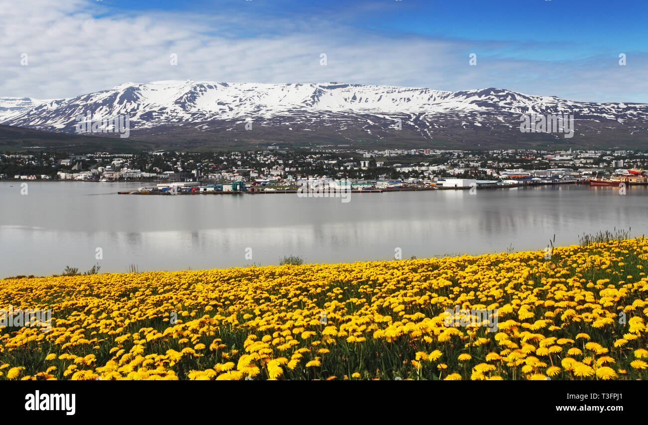 Akureyri city hi-res stock photography and images - Alamy