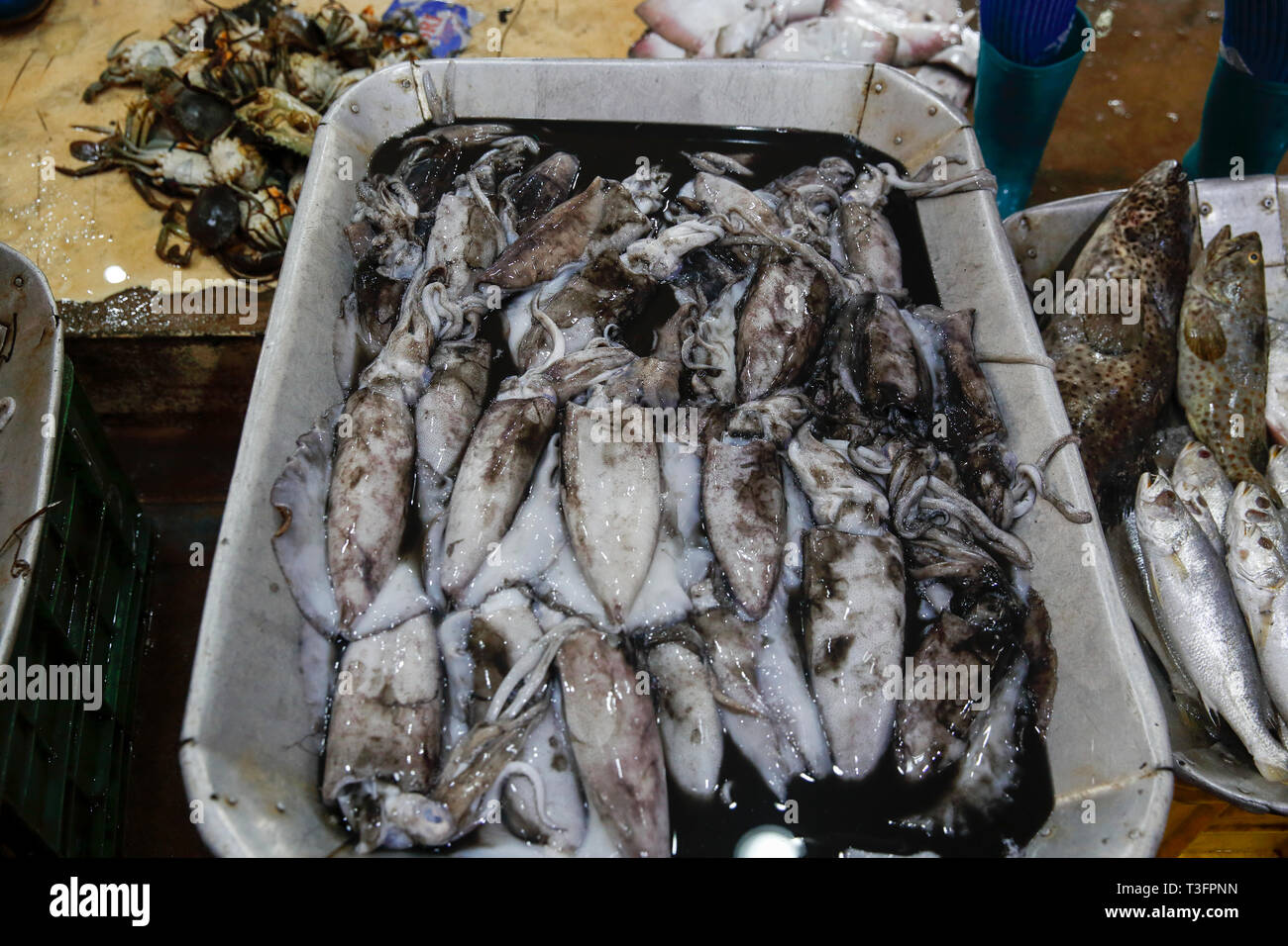 Central fish market in Colombo, Sri Lanka Stock Photo - Alamy