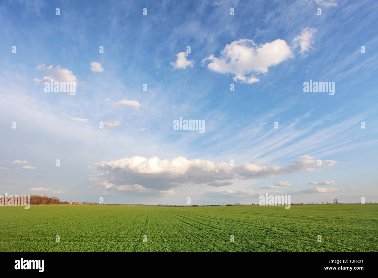 Fields spring blue sky hi-res stock photography and images - Alamy